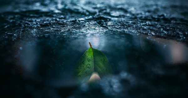 Significance of Water and Fasting - Cosmic Insights