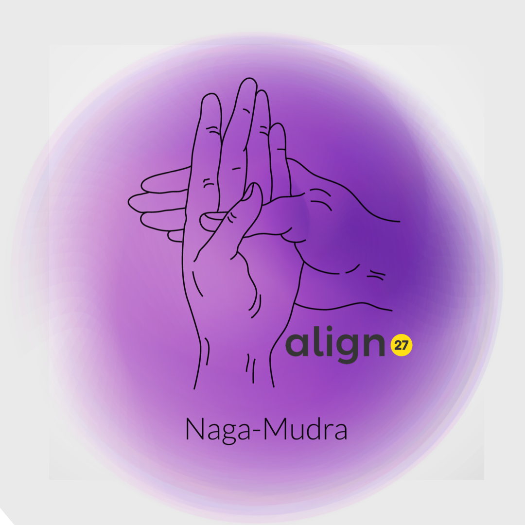 Magha Purnima in Ashlesha Nakshatra - The full moon of February 2020 ...