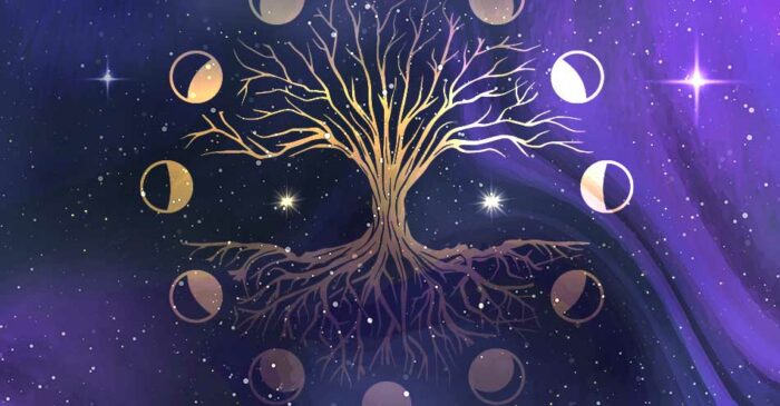 Nakshatra and Trees - Cosmic Insights